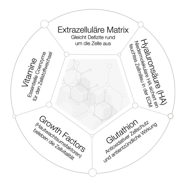 ECMV Booster - Landsberg First Class Aesthetic